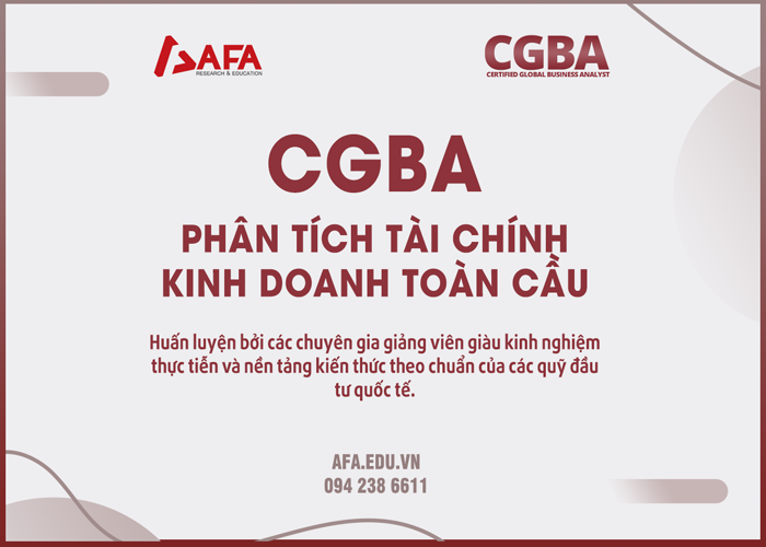 Phân tích tài chính và kinh doanh toàn cầu - CGBA - AFA — We are ...